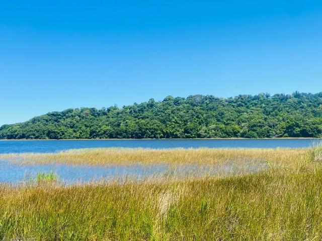Terreno / Lote para Venda em Jequiá da Praia/AL Centro