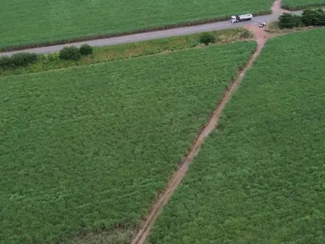 Terreno / Lote para Venda em Jequiá da Praia/AL Centro