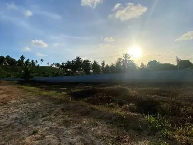 Terreno / Lote para Venda em Jequiá da Praia/AL Centro