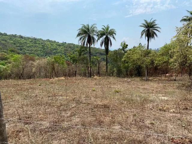 Terreno / Lote para Venda em Jequitinhonha/MG Caju