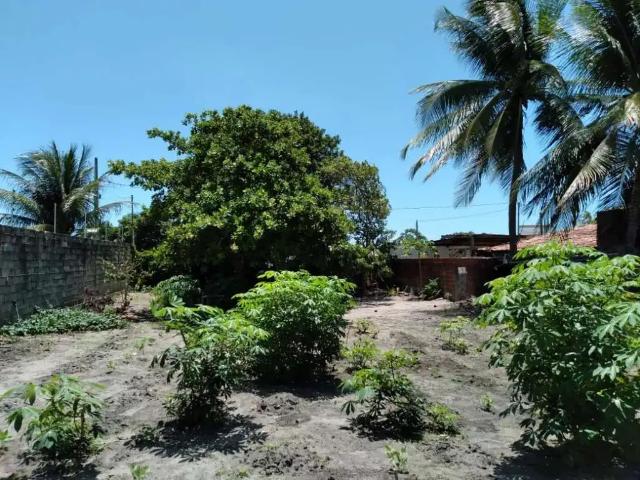 Terreno / Lote para Venda em João Pessoa/PB Barra de Gramame