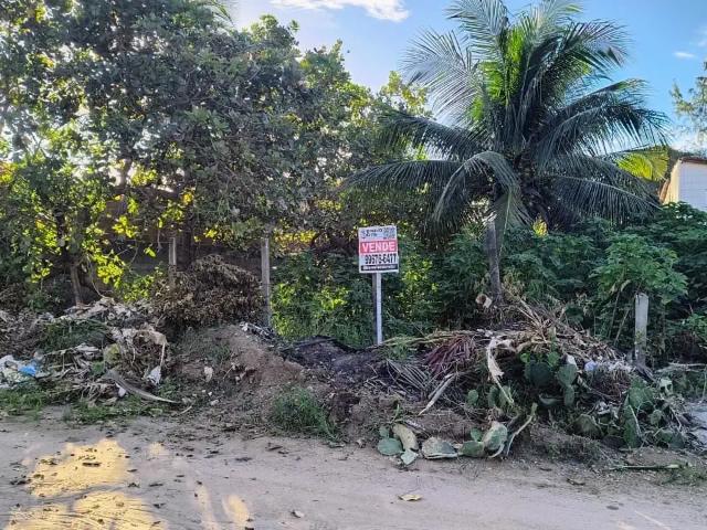 Terreno / Lote para Venda em João Pessoa/PB Barra de Gramame