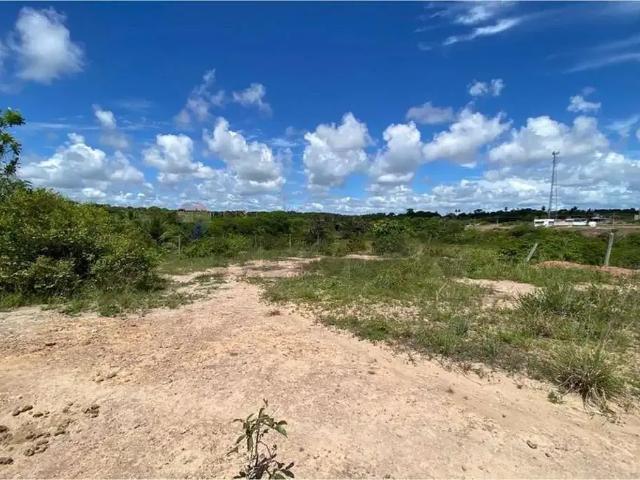 Terreno / Lote para Venda em João Pessoa/PB Barra de Gramame