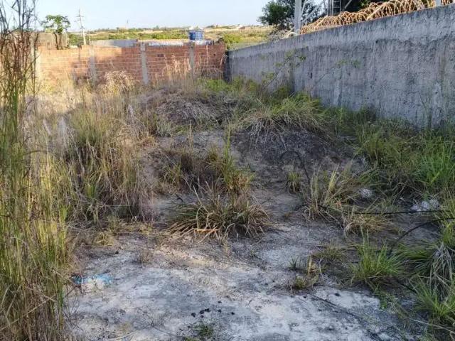 Terreno / Lote para Venda em João Pessoa/PB Barra de Gramame