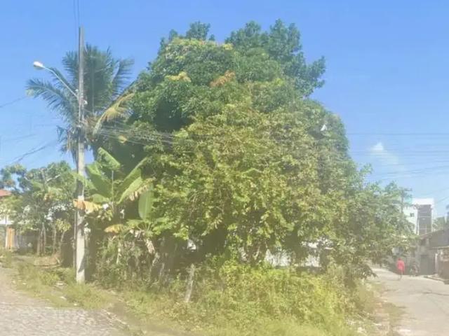 Terreno / Lote para Venda em João Pessoa/PB Cristo Redentor