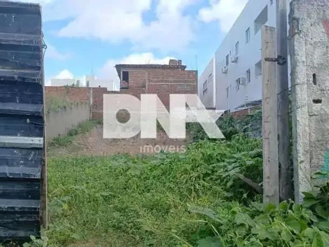 Terreno / Lote para Venda em João Pessoa/PB Jardim Cidade Universitária