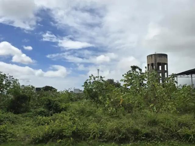 Terreno / Lote para Venda em João Pessoa/PB Portal do Sol