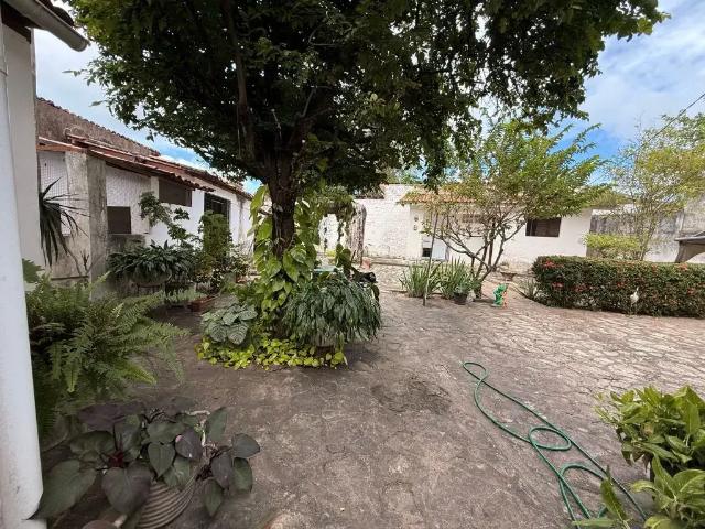 Terreno / Lote para Venda em João Pessoa/PB Torre