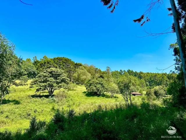 Terreno / Lote para Venda em Joanópolis/SP Centro