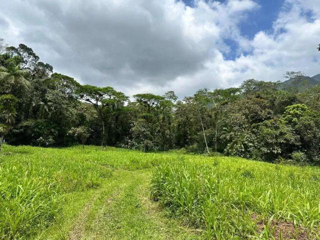 Terreno / Lote para Venda em Joinville/SC Vila Nova