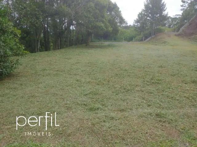 Terreno / Lote para Venda em Joinville/SC Vila Nova