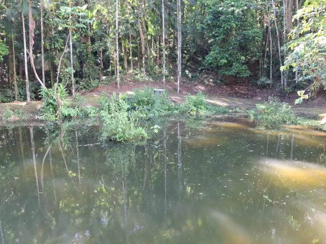 Terreno / Lote para Venda em Joinville/SC Vila Nova