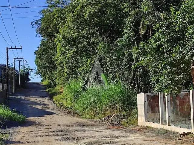 Terreno / Lote para Venda em Joinville/SC Vila Nova