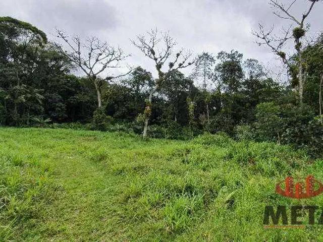 Terreno / Lote para Venda em Joinville/SC Vila Nova