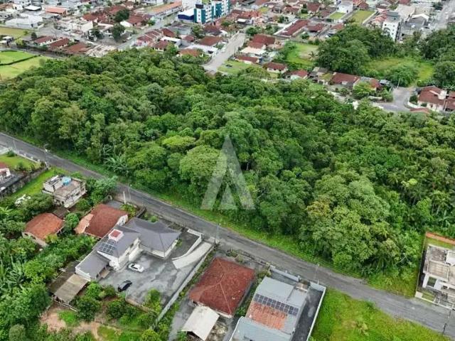 Terreno / Lote para Venda em Joinville/SC Vila Nova