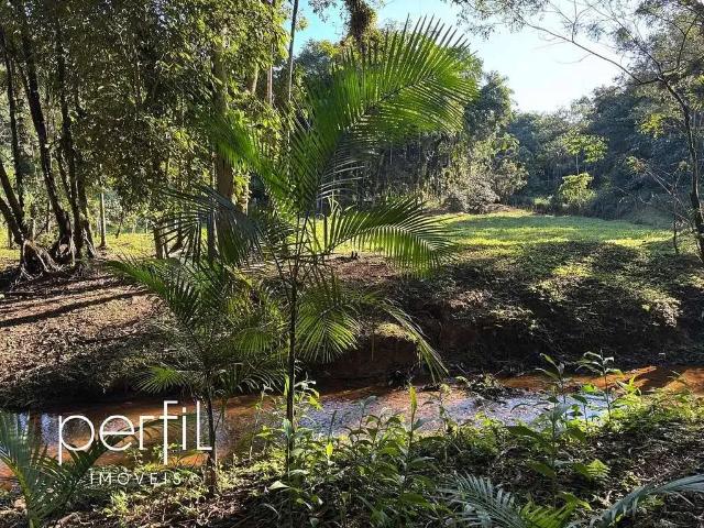 Terreno / Lote para Venda em Joinville/SC Vila Nova