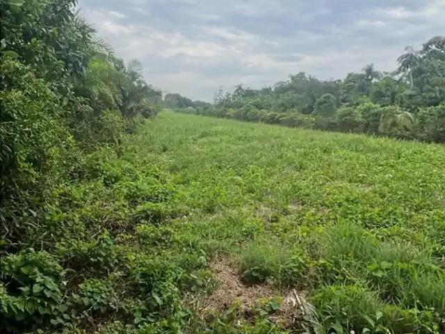 Terreno / Lote para Venda em Joinville/SC Vila Nova