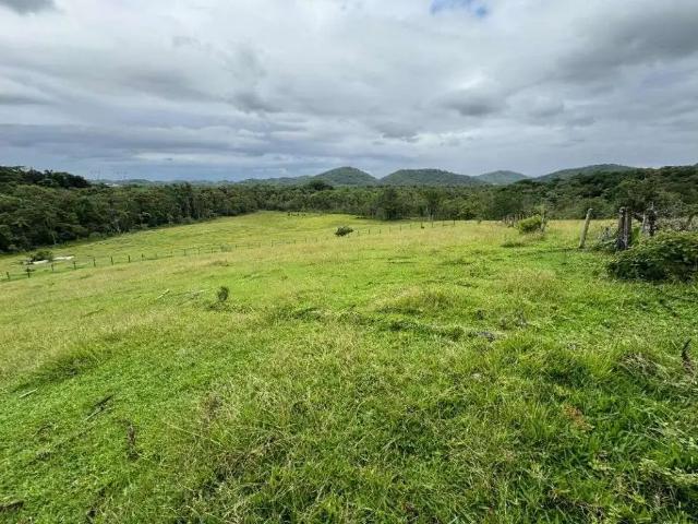 Terreno / Lote para Venda em Joinville/SC Vila Nova