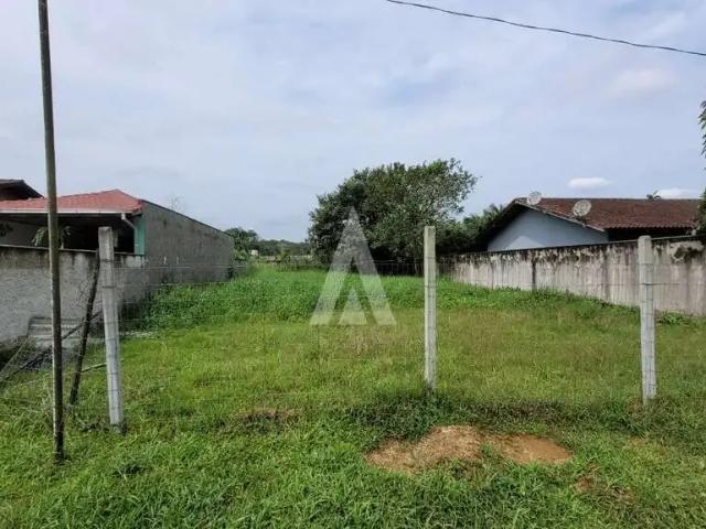 Terreno / Lote para Venda em Joinville/SC Zona Industrial
