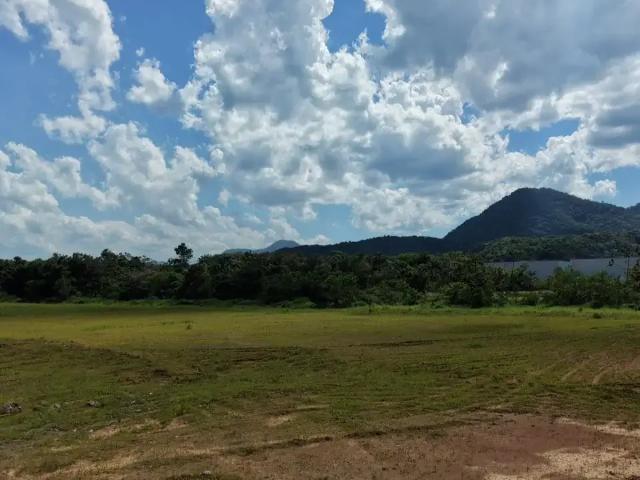 Terreno / Lote para Venda em Joinville/SC Zona Industrial