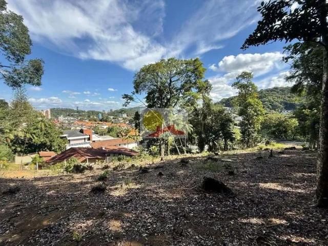 Terreno / Lote para Venda em Joinville/SC América