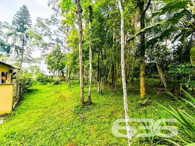 Terreno / Lote para Venda em Joinville/SC Atiradores