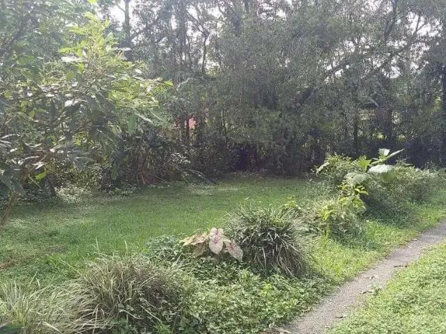 Terreno / Lote para Venda em Joinville/SC Bom Retiro