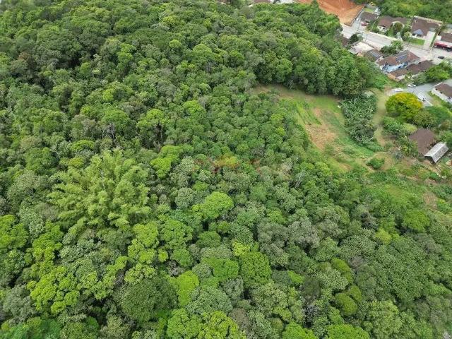Terreno / Lote para Venda em Joinville/SC Boehmerwald