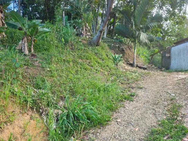 Terreno / Lote para Venda em Joinville/SC Boehmerwald