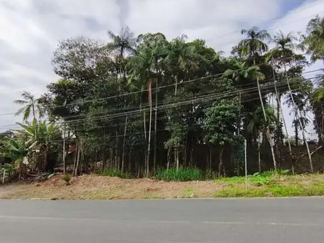 Terreno / Lote para Venda em Joinville/SC Costa e Silva