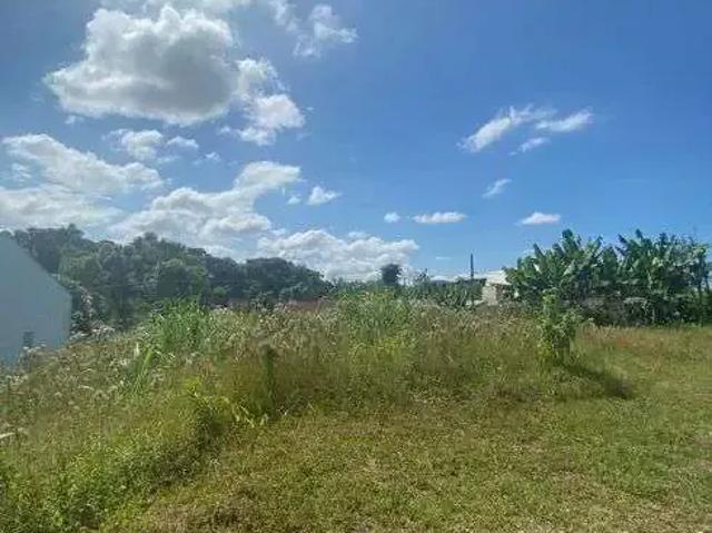 Terreno / Lote para Venda em Joinville/SC Floresta