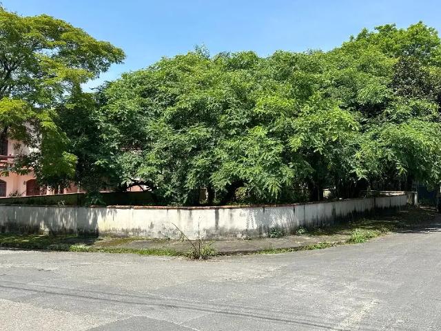 Terreno / Lote para Venda em Joinville/SC Floresta