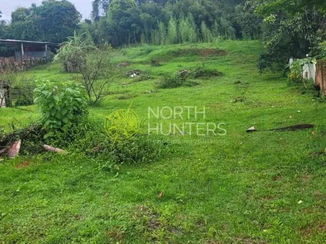 Terreno / Lote para Venda em Joinville/SC Floresta