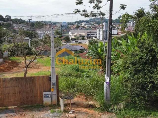 Terreno / Lote para Venda em Joinville/SC Floresta