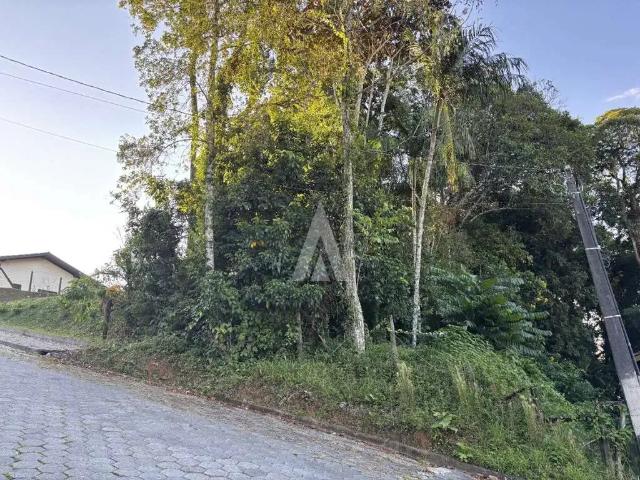 Terreno / Lote para Venda em Joinville/SC Floresta