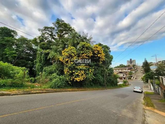Terreno / Lote para Venda em Joinville/SC Floresta