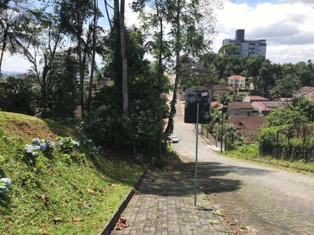Terreno / Lote para Venda em Joinville/SC Floresta