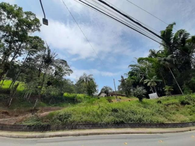 Terreno / Lote para Venda em Joinville/SC Glória