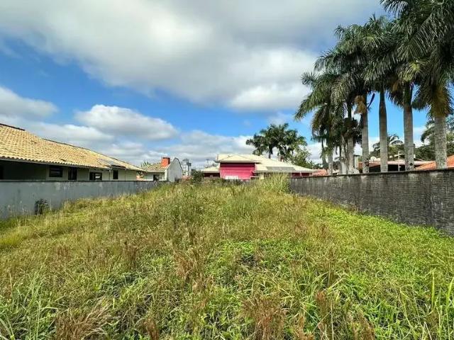Terreno / Lote para Venda em Joinville/SC Glória