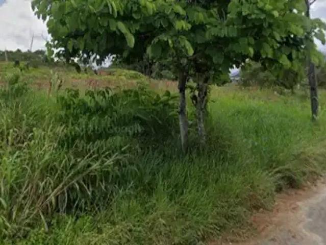Terreno / Lote para Venda em Joinville/SC Glória