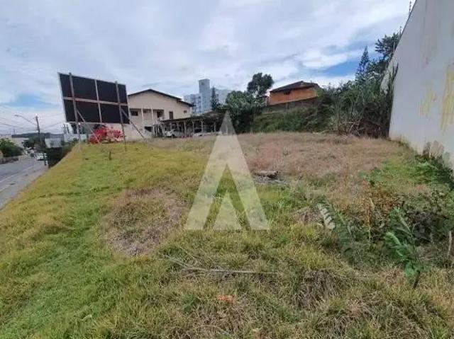 Terreno / Lote para Venda em Joinville/SC Iririú