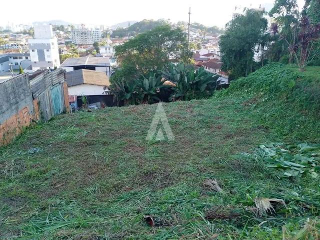 Terreno / Lote para Venda em Joinville/SC Iririú