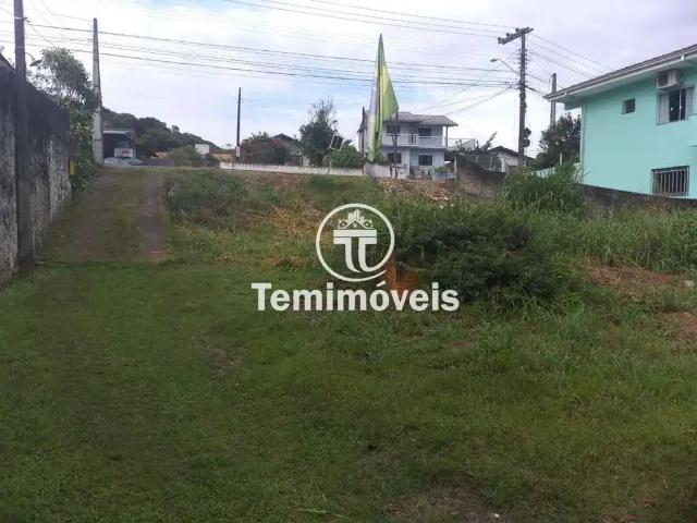 Terreno / Lote para Venda em Joinville/SC Itaum