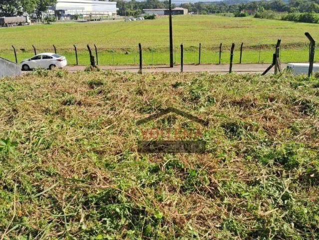 Terreno / Lote para Venda em Joinville/SC Jardim Sofia