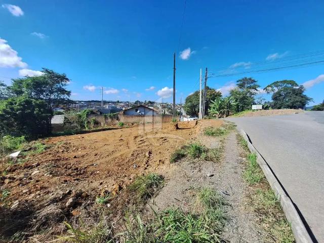 Terreno / Lote para Venda em Joinville/SC Jarivatuba