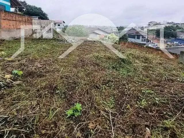 Terreno / Lote para Venda em Joinville/SC João Costa