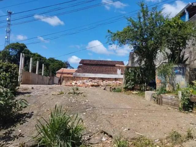 Terreno / Lote para Venda em Joinville/SC João Costa