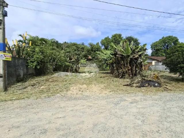 Terreno / Lote para Venda em Joinville/SC Petrópolis