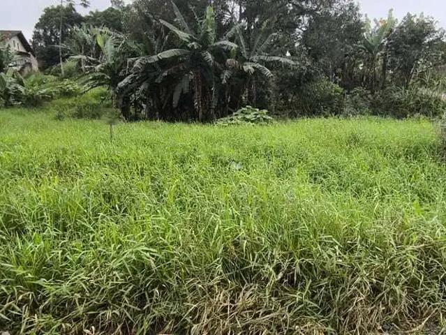 Terreno / Lote para Venda em Joinville/SC Petrópolis