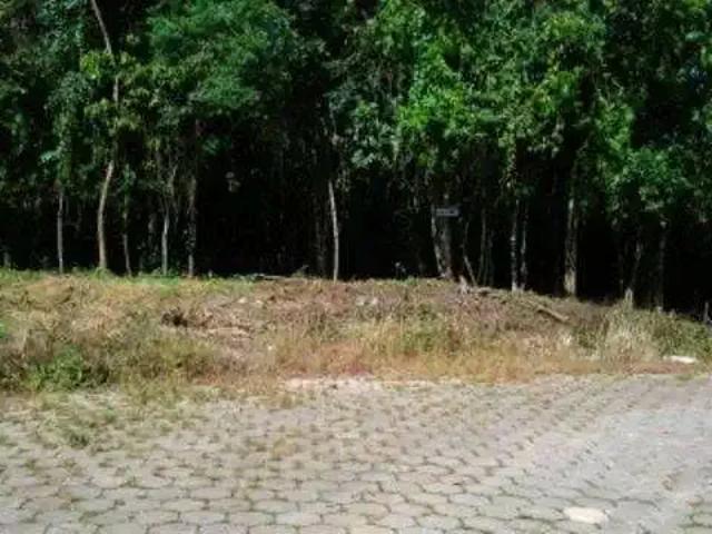 Terreno / Lote para Venda em Joinville/SC Petrópolis